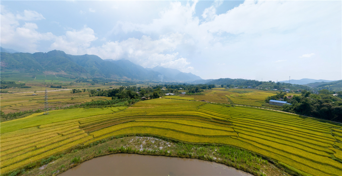 Tan Duong village, Trung Dong commune